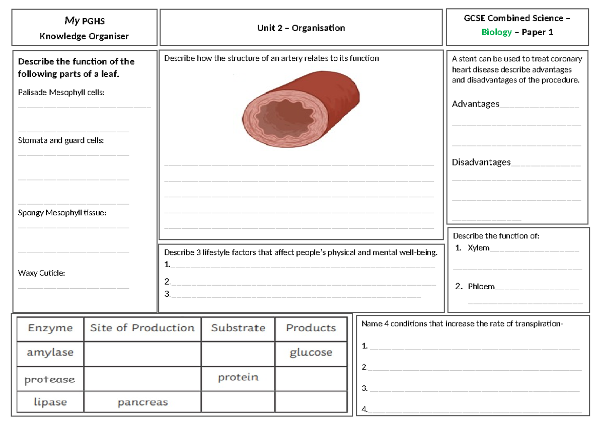 Unit 2 - Organisation Combined page 2 - My PGHS Knowledge Organiser ...