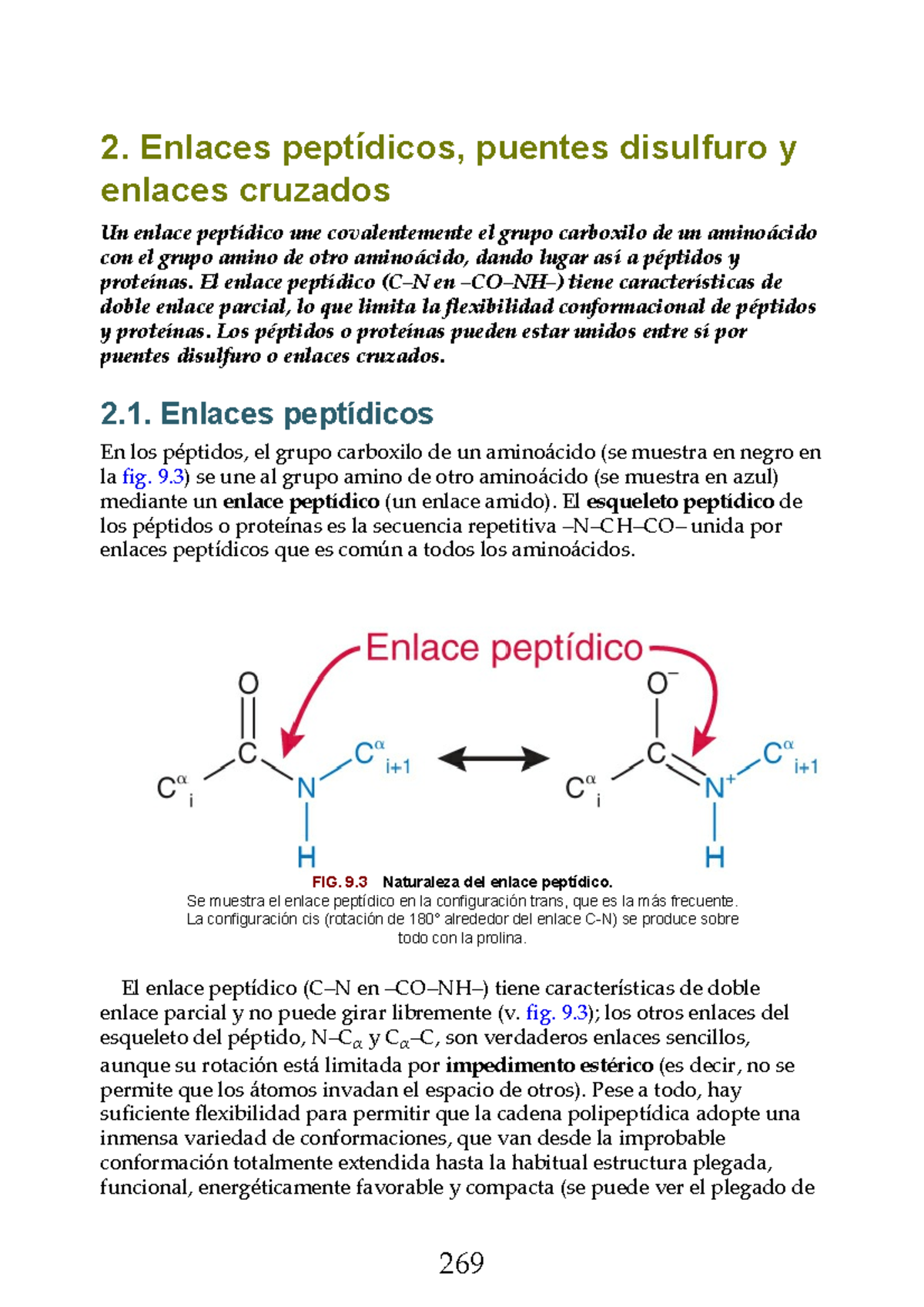 enlaces peptidicos - 2. Enlaces peptídicos, puentes disulfuro y enlaces ...
