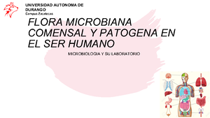 CAP 35 Chlamydia - Resumen Microbiologia Médica - Microorganismos ...