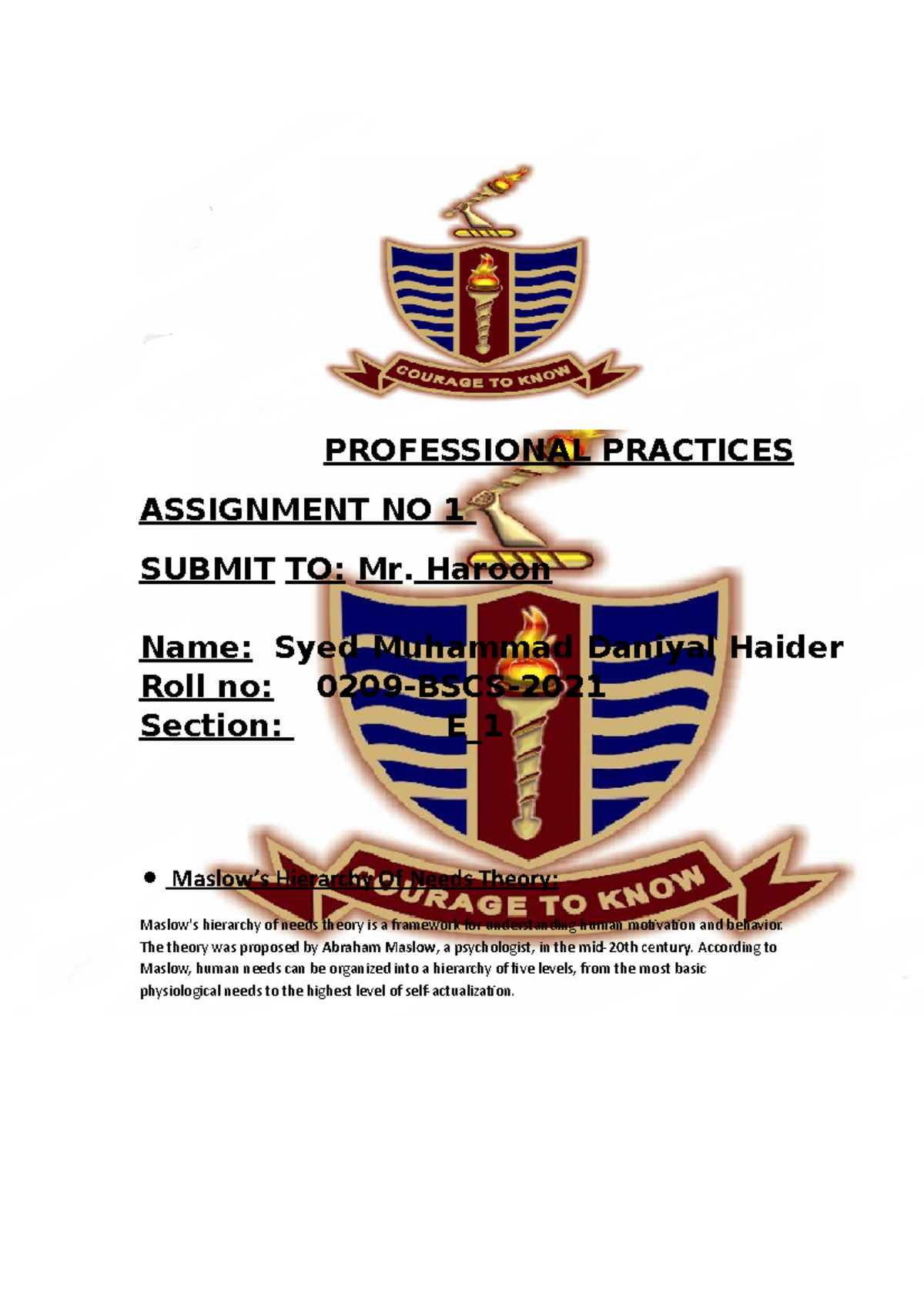 Nofil Assignment - PROFESSIONAL PRACTICES ASSIGNMENT NO 1 SUBMIT TO: Mr ...