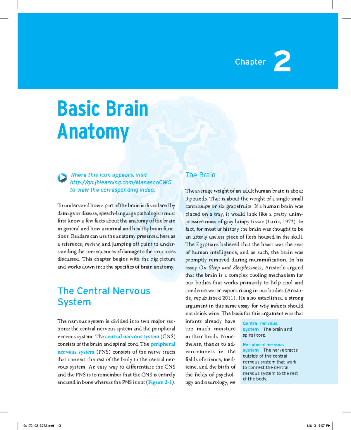 Brain anatomy notes - Neuro - Basic Brain Anatomy Where this icon ...