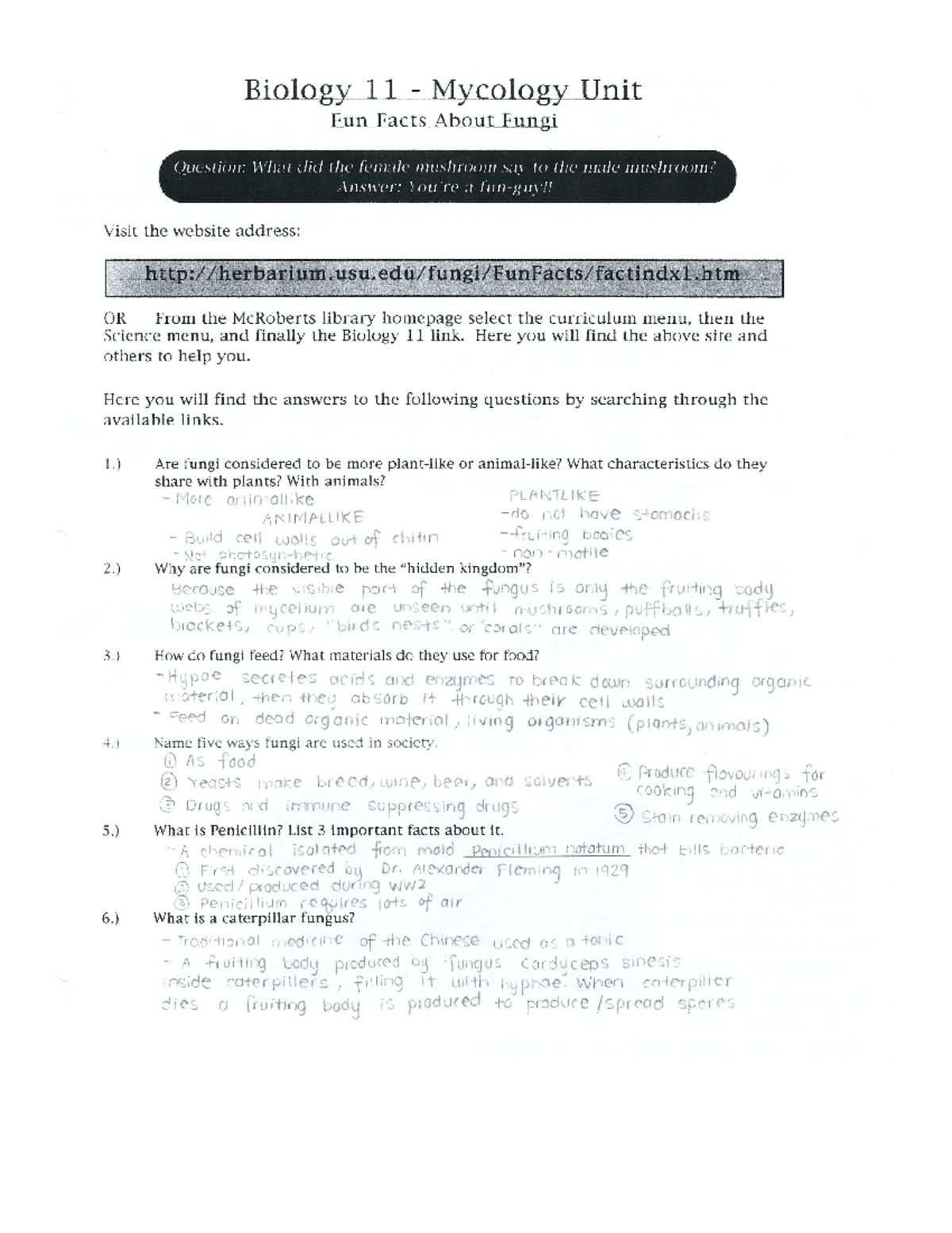 Fun facts about fungi - Notes - Biology 11 Mycology Unit Fun Facts ...