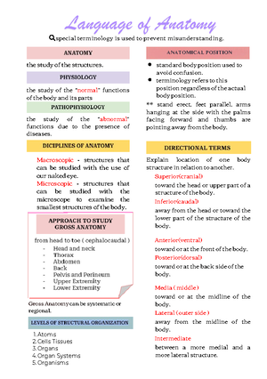 Anaphy lab remaining data sheet - Anatomy and Physiology - Studocu