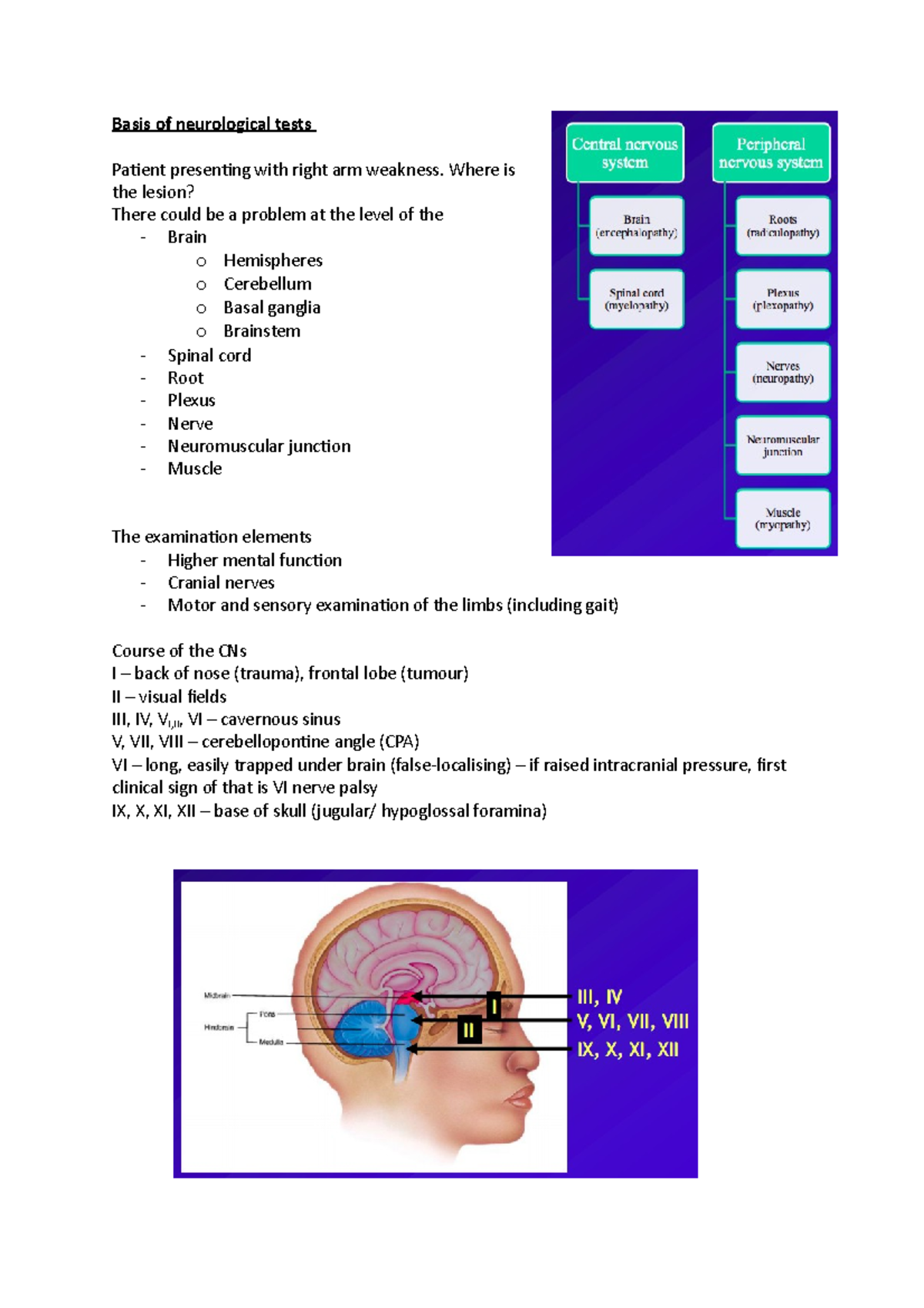 W3 Basis of neurological tests - Basis of neurological tests Patient ...