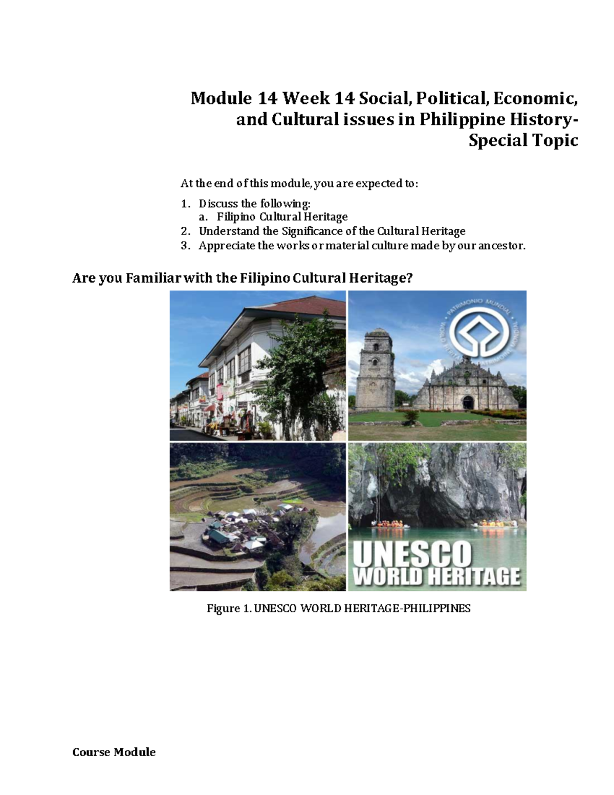 W14-Module 14 Social, Political, Economic and Cultural issues in ...