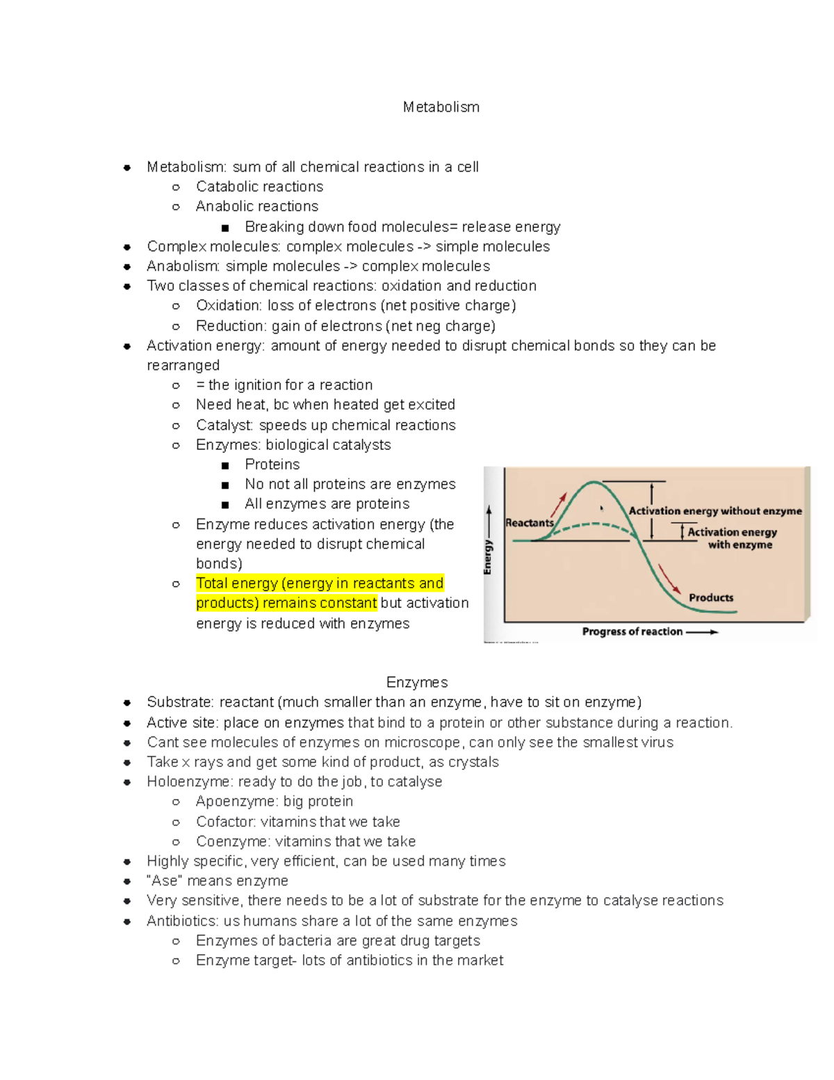 Chapter 8 metabolism - Metabolism Metabolism: sum of all chemical ...