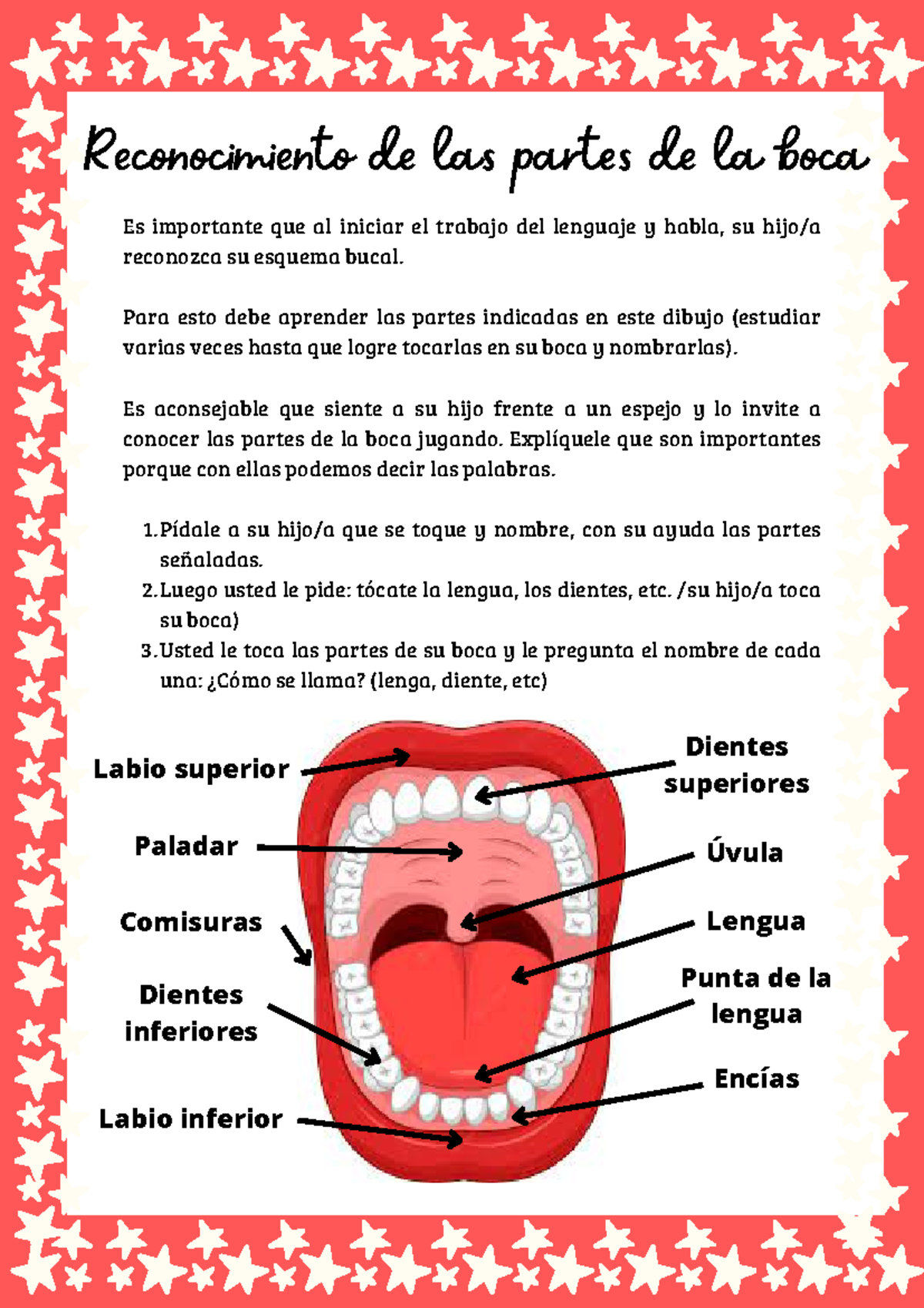 Reconocimiento de partes de la boca - Reconocimiento de las partes de ...