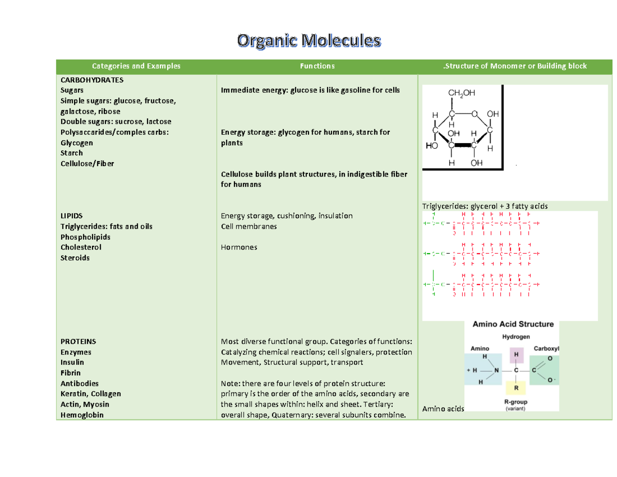 Study Guide Organic Molecules - Categories and Examples Functions ...