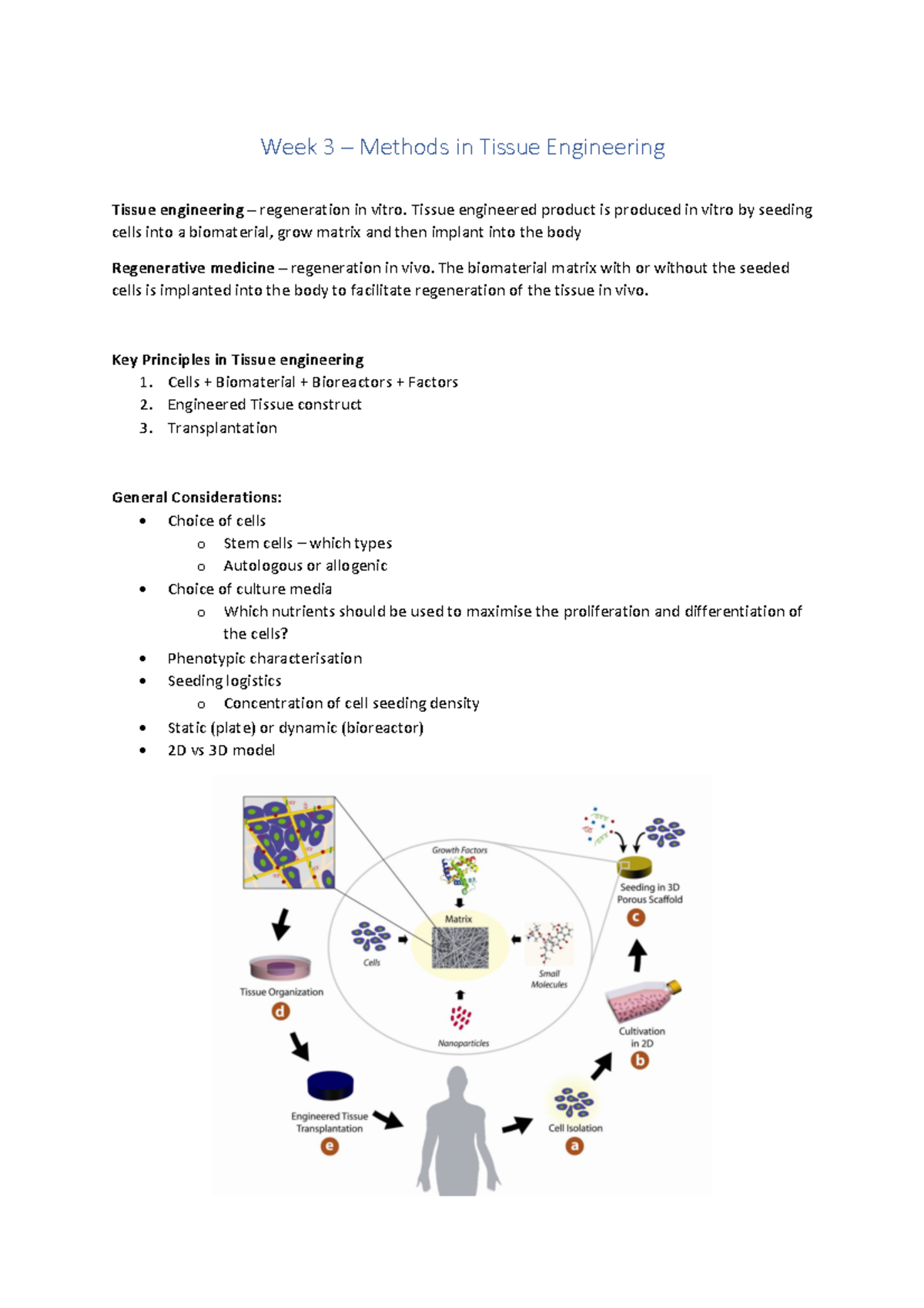 Methods in tissue engineering system - Week 3 – Methods in Tissue ...