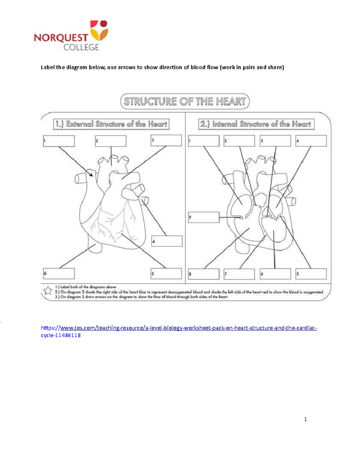 Cardio system worksheet Students - 1 Label the diagram below, use ...