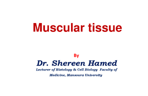 Ear - histology some notes - Ear (1) Extern al Ear a pinna:(funnel ...