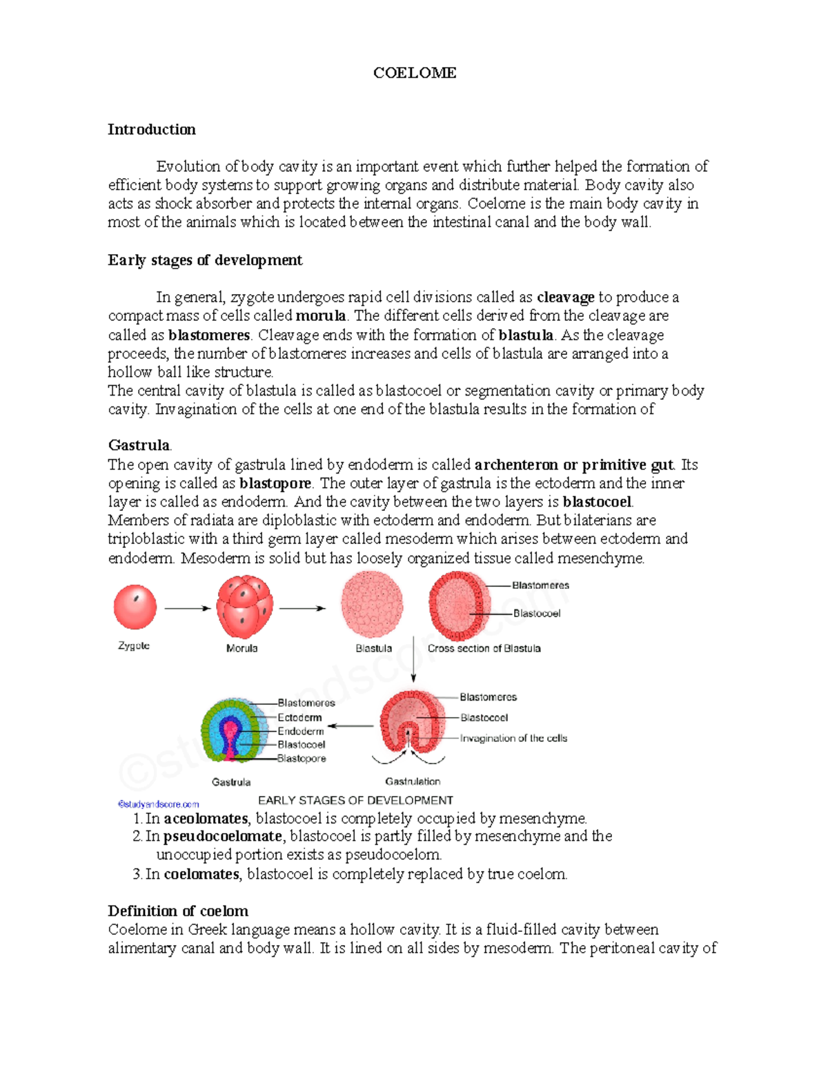 Coelome - basic concept of zoology - COELOME Introduction Evolution of ...
