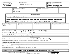 Concept map - Care (13th ed.). Elsevier. Based Guide to Planning ...