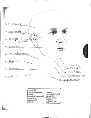 Medical Abbreviations - Medical Abbreviations AROM - active range of ...