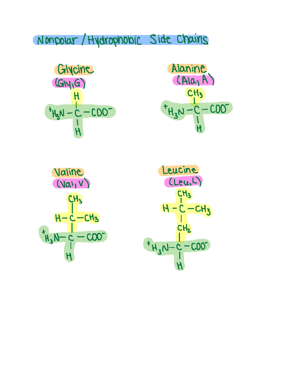 Amino Acid Structure - Nonpolar Hydrophobic Side Chains Glycine Alanine ...