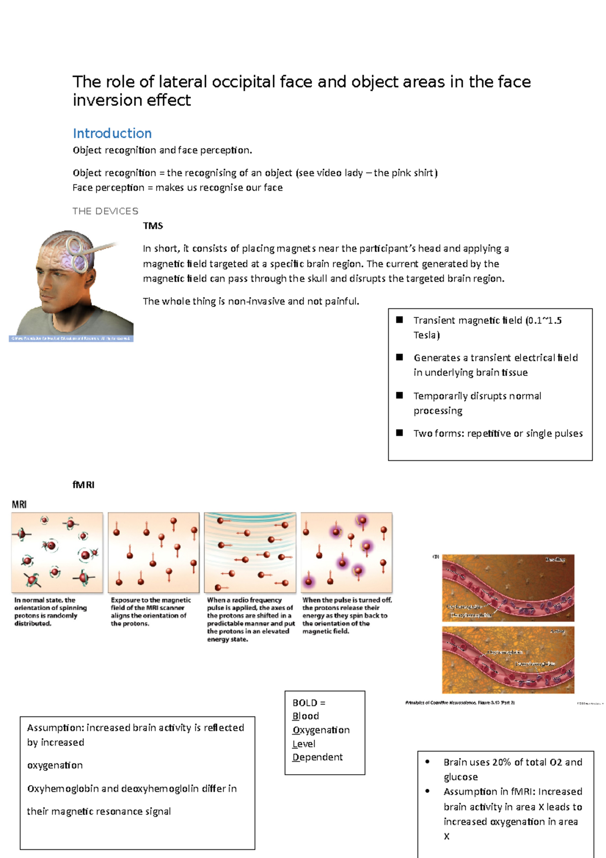 Lecture notes, lecture 7 - Presentation on the inversion effect - BOLD ...