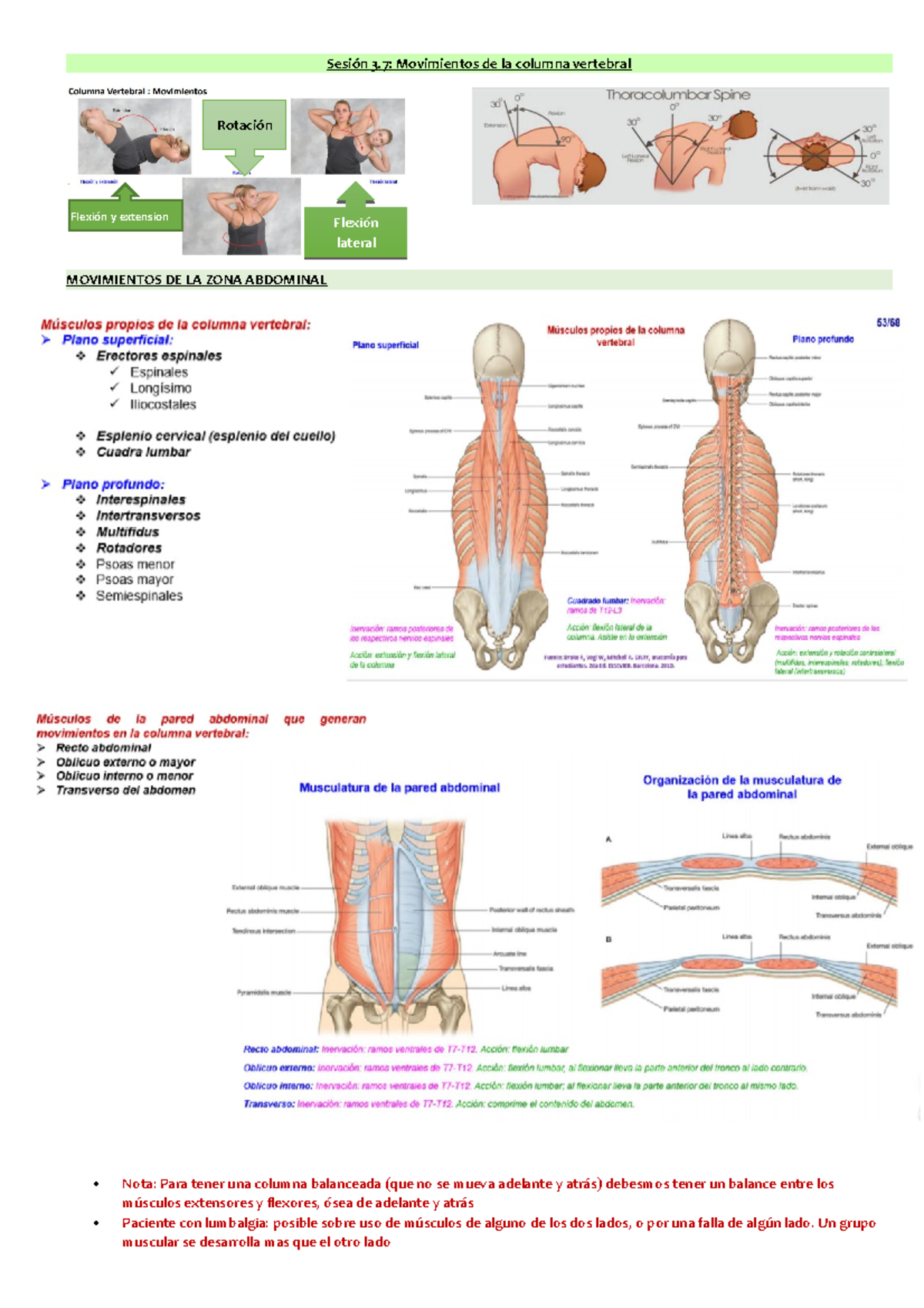 5 - Columna Vertebral Parte 3 Movimientos DE LA Columna - Sesión 3 ...