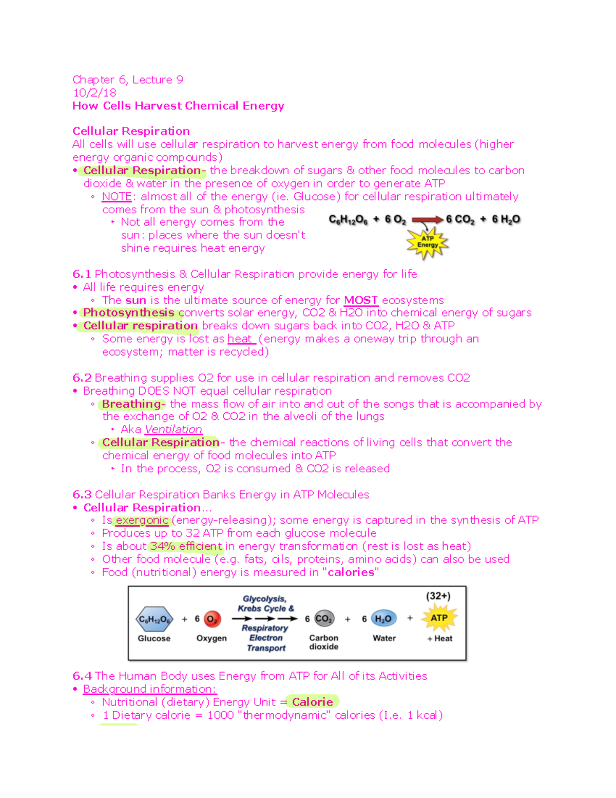Biology Chapter 6 - Chapter 6, Lecture 9 10/2/ How Cells Harvest ...