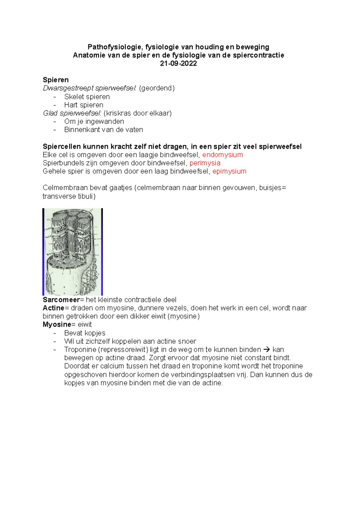Pathofysiologie spier en spiercontractie 21-09-2022 - Pathofysiologie ...