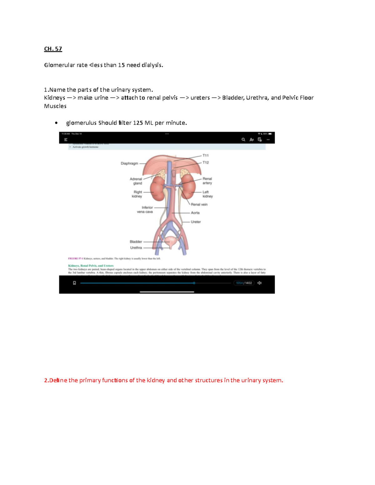CH.57 INTO TO Urinary + Disorders - CH. 57 Glomerular rate