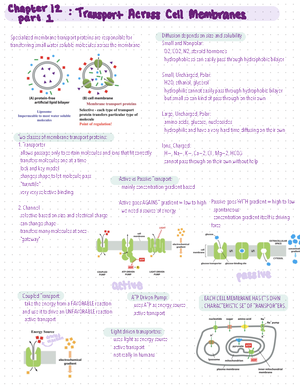 BIO 300 Ch. 11 Notes - Proff. Vick - BIO 300 Chapter 11 notes Cell ...