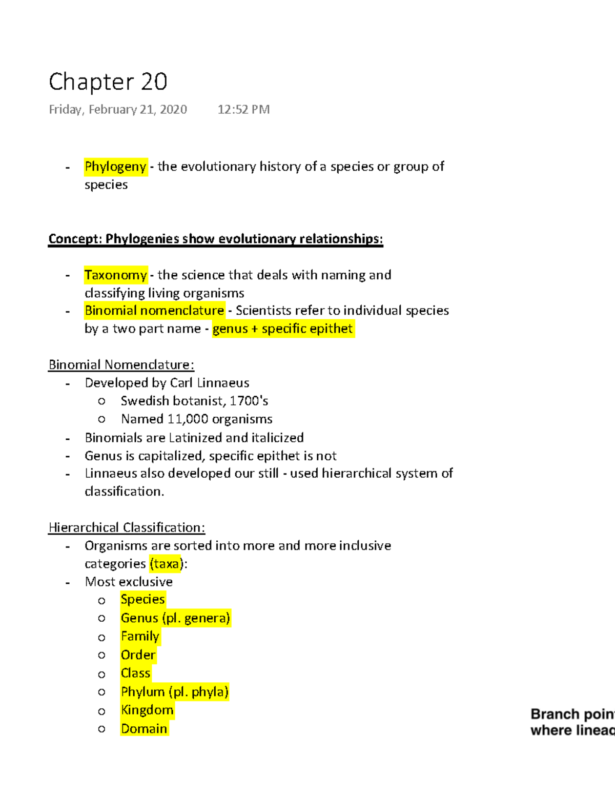 Chapter 20 - Professor Sian Ritchie - Phylogeny - the evolutionary ...