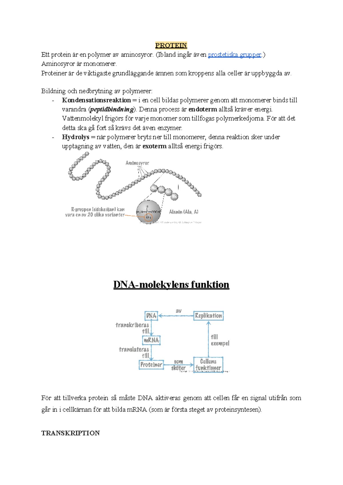 Protein - PROTEIN Ett protein är en polymer av aminosyror. (Ibland ...