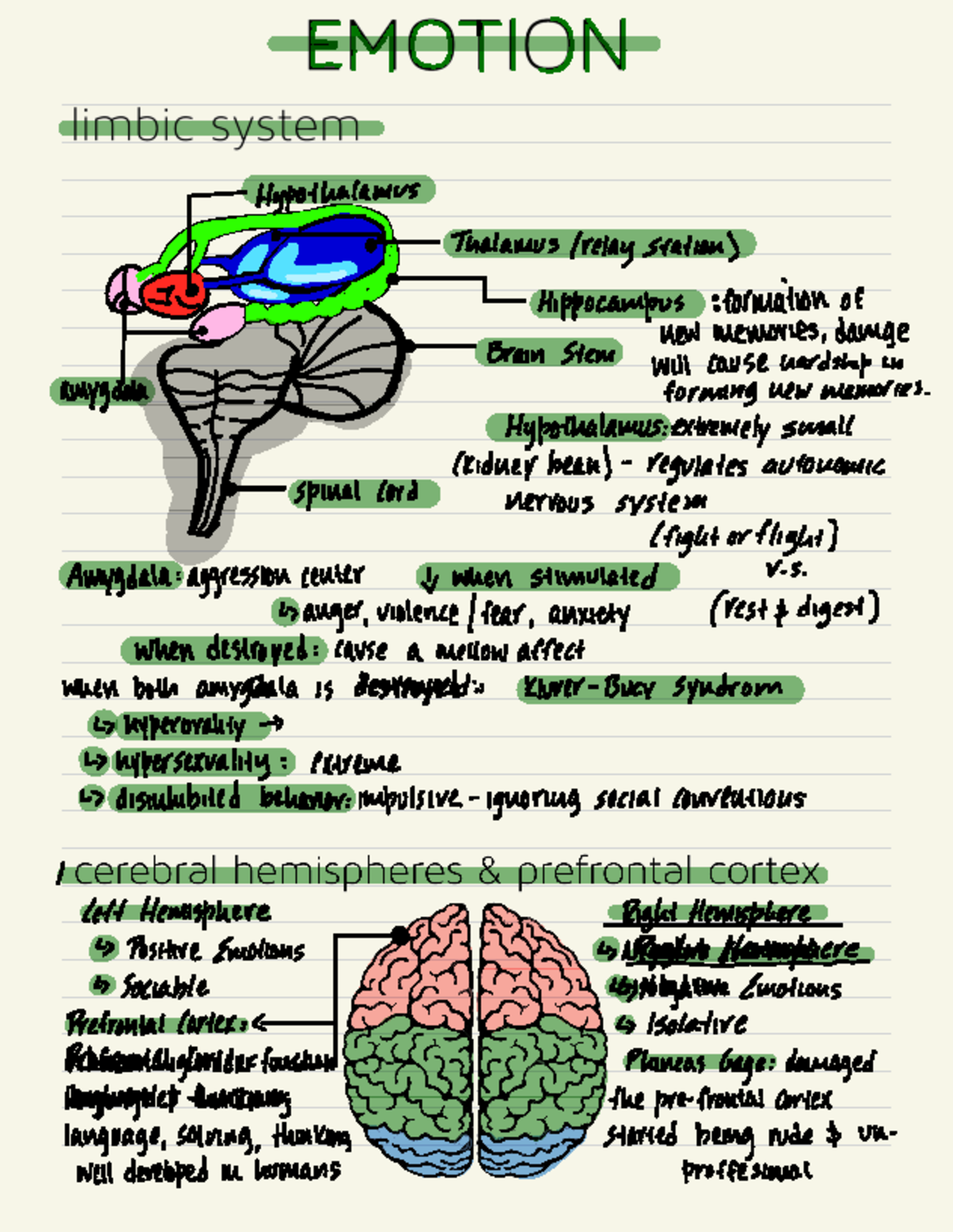 Emotion Deprecated Api Usage The Svg Back End Is No Longer Maintained And May Be Removed In