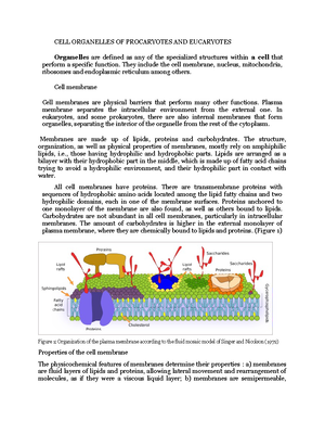 Relationship OF Krebs' Cycle TO Carbohydrate, Protein AND Lipid ...