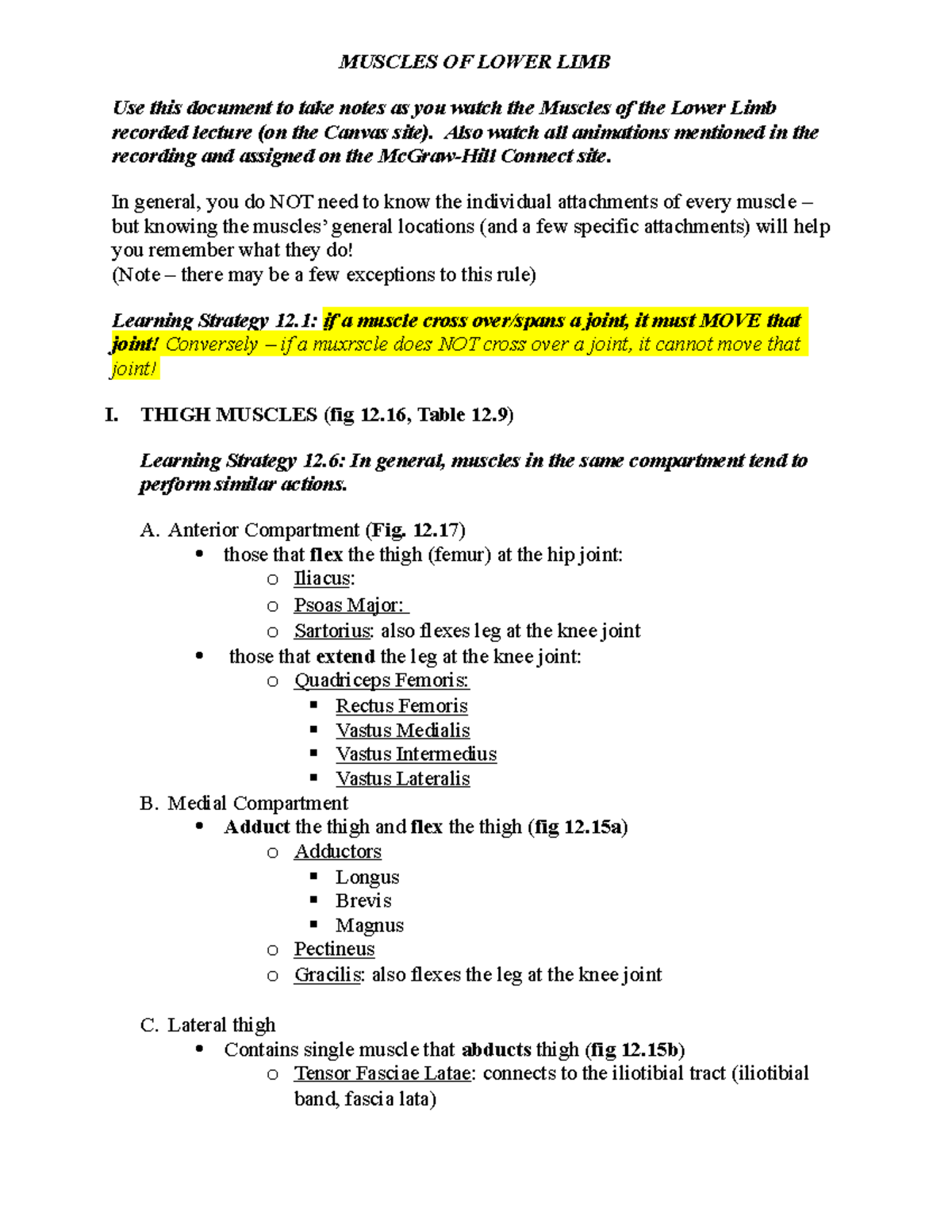 Muscles Lower Limb - Dr. Valerie Dean O'Loughlin, Dr. Kathryn Propst ...
