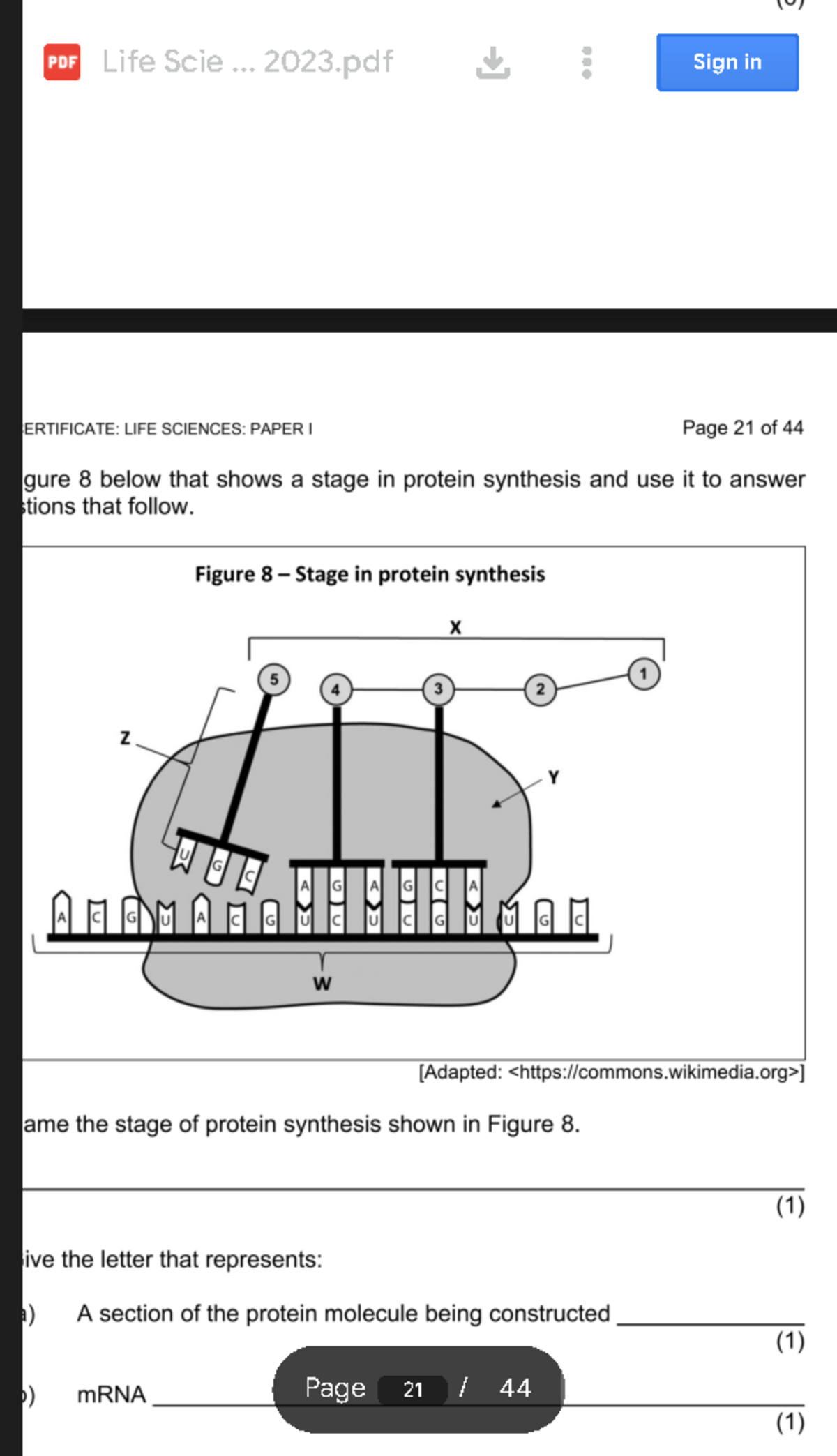 Life Sciences P1 2023.pdf - Google Drive - (6) Figure 8 – Stage in ...