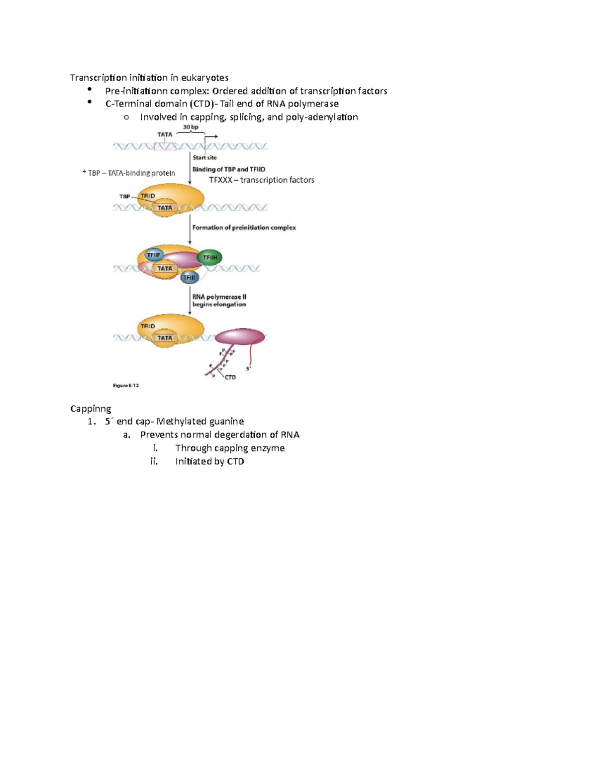 Lecture 17 - N/A - Transcription initiation in eukaryotes Pre ...