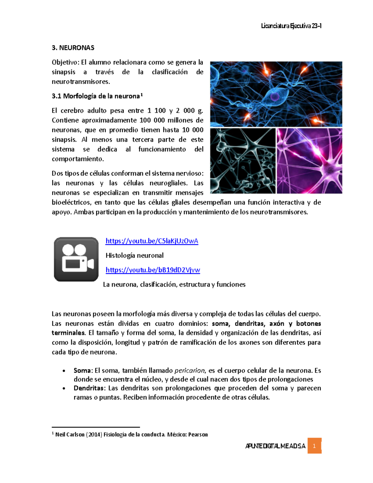 3 Neurona - esquema - 3. NEURONAS Objetivo: El alumno relacionara como ...