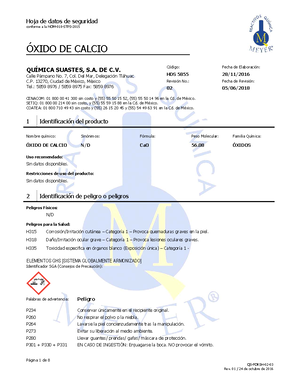 HOJA DE Seguridad- Cloralex Regular - Industrias AlEn Desarrollo de ...