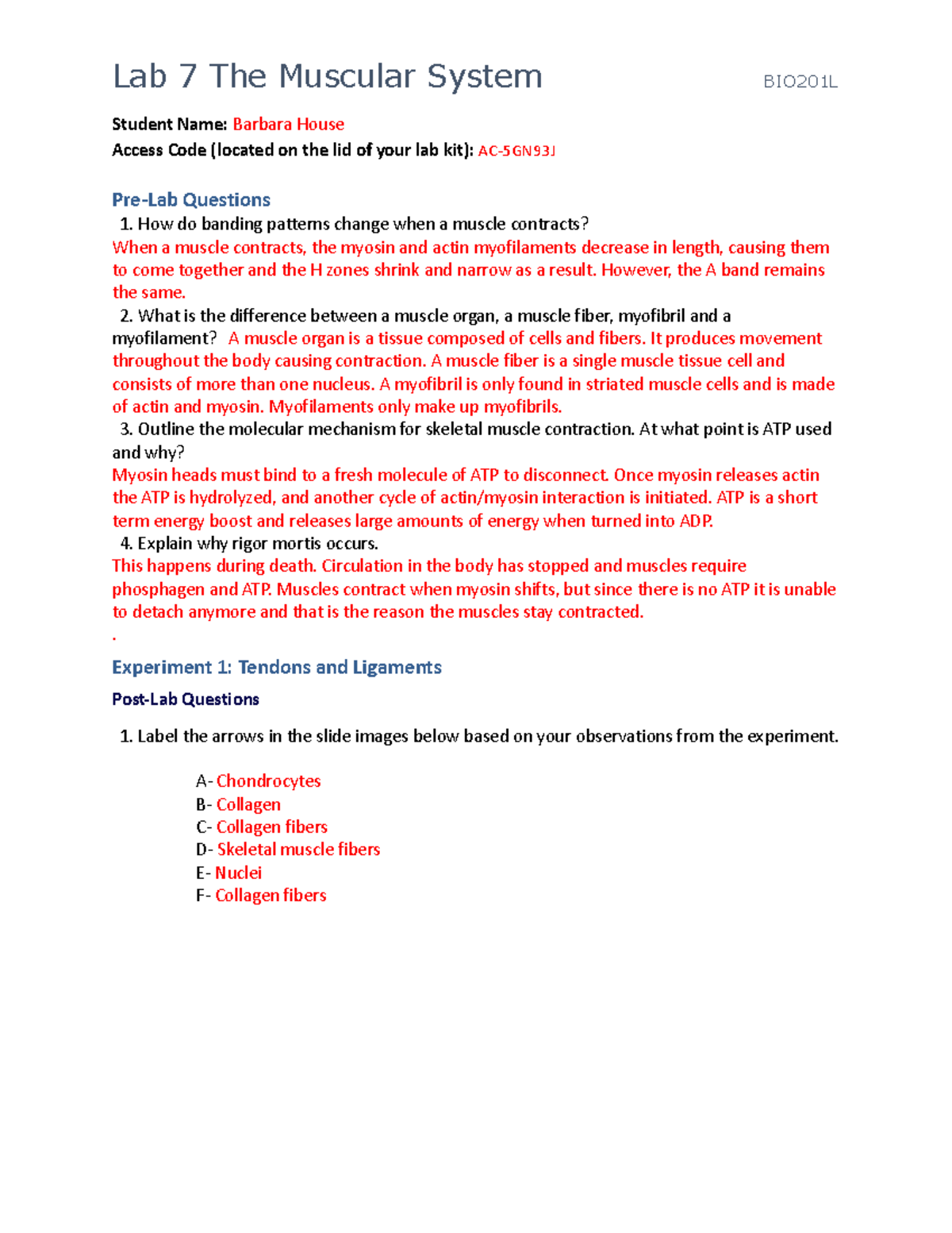 36546 Barbara House Lab 7 muscular system 18853 1066018419 - Student Name: Barbara House Access ...
