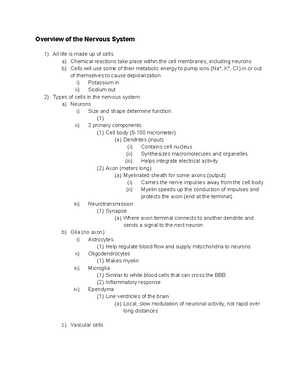 NSCI 2001 Lecture 3 Notes - Neural Development Part of the fertilized ...