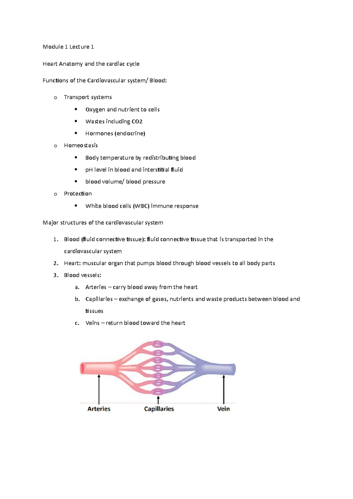 Module 1 Lecture 1 - Module 1 Lecture 1 Heart Anatomy and the cardiac ...