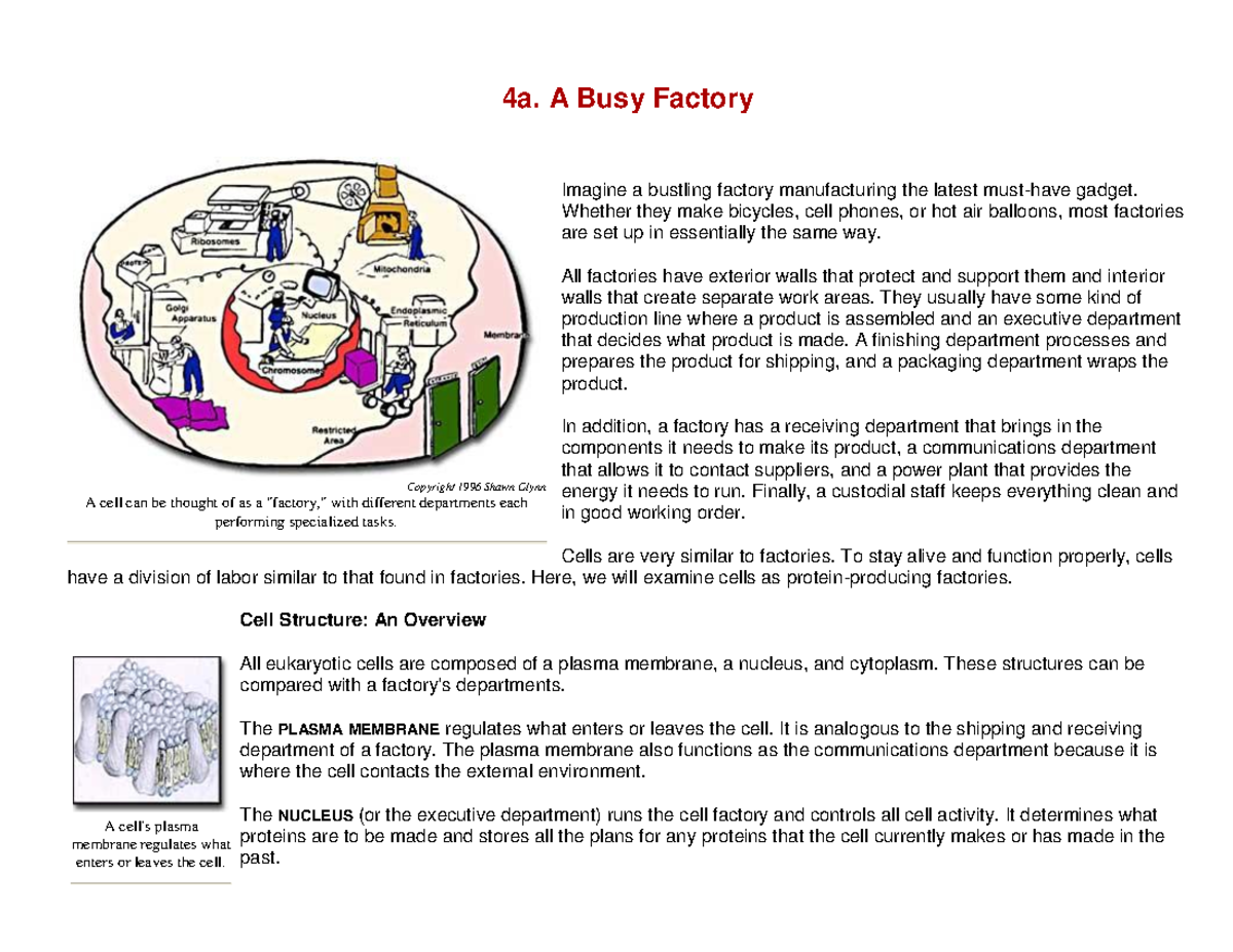 Reading Material 1-cell-as-a-factory-pdf - 4a. A Busy Factory Imagine a ...