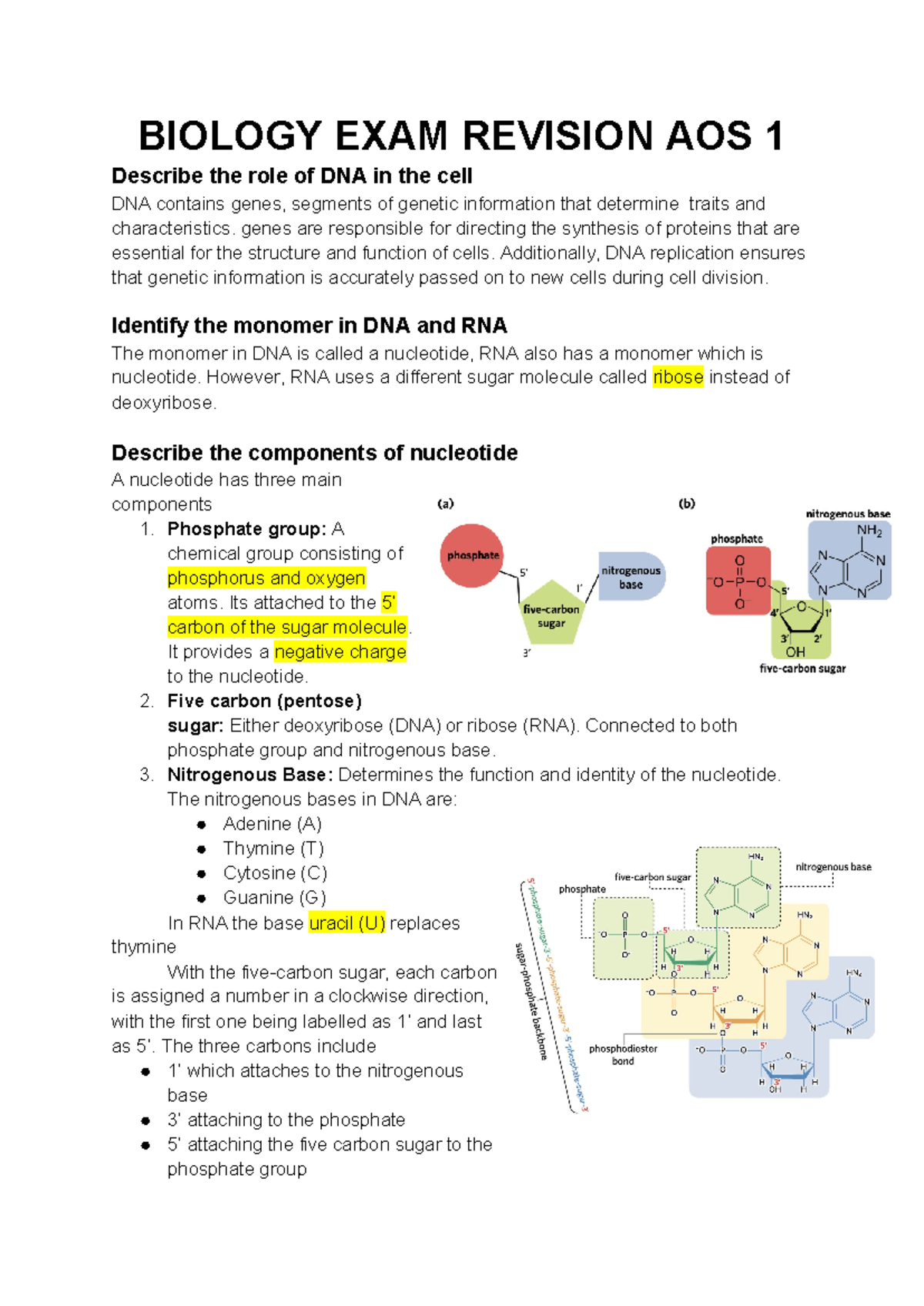 Biology-exam-revision - BIOLOGY EXAM REVISION AOS 1 Describe the role ...