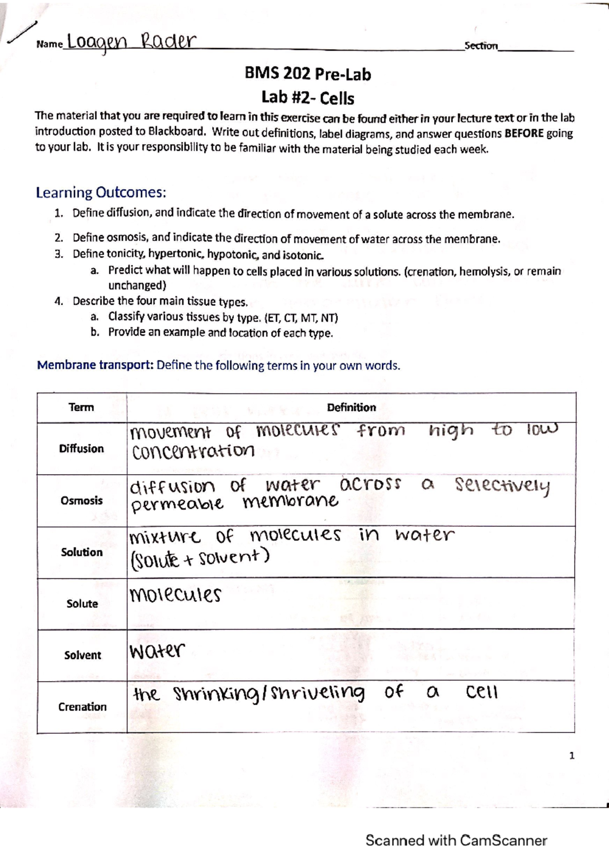 Pre Lab 2 - Helps with BMS 202 Lab assignments - BMS 202 - Studocu