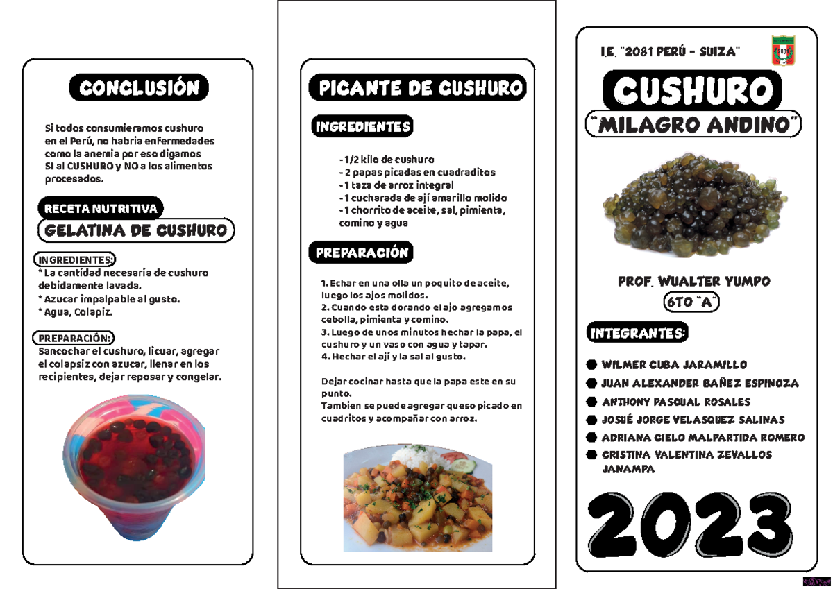 Triptico de Cushuro - Cushuro “Milagro andino” i. “2081 perú suiza ...