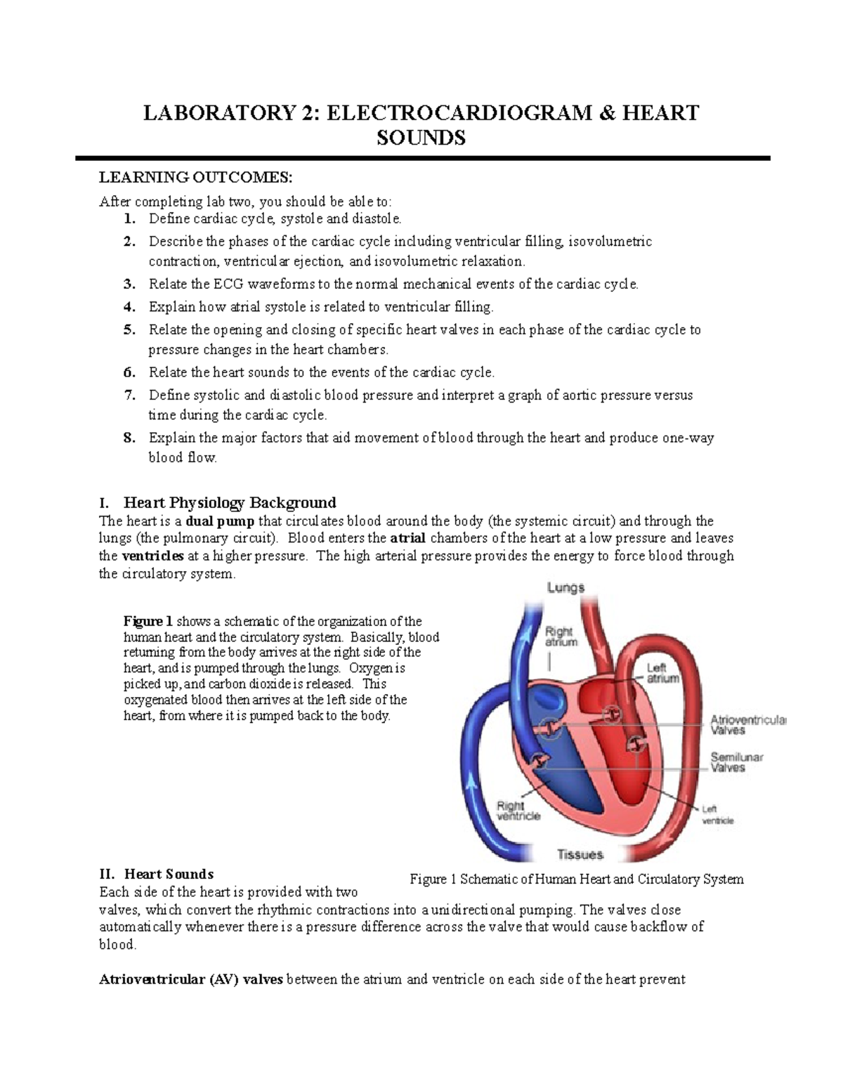 HSCI 103 Lab 2 - Mary Flynn - LABORATORY 2: ELECTROCARDIOGRAM & HEART ...
