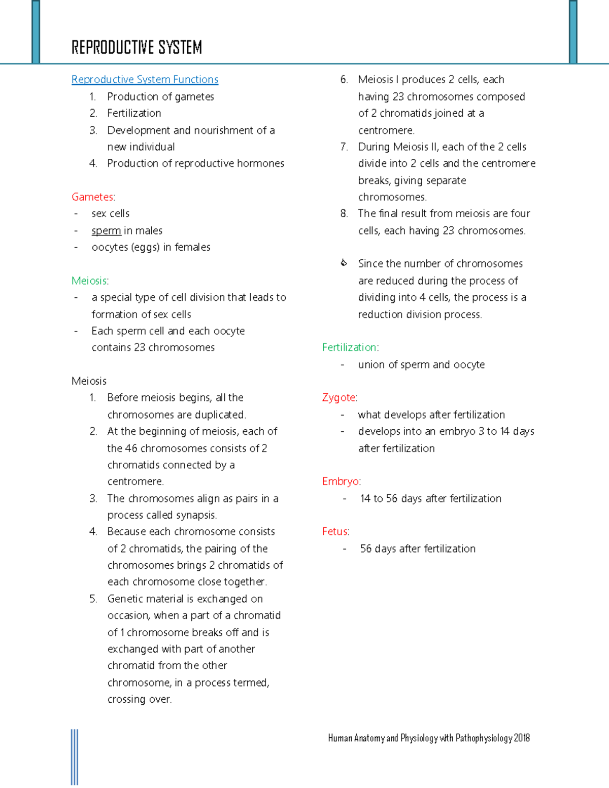 Reproductive- System- Notes - Reproductive System Functions 1 ...
