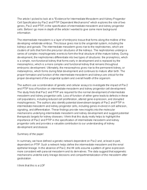 Lymphatics and Immune System - Example Images - Thymus Cortex Medulla ...