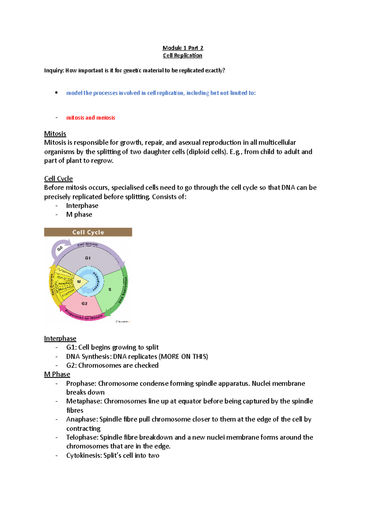 Module 5 Part 2 (Syllabus Bible) - Module 1 Part 2 Cell Replication Inquiry: How important is it ...
