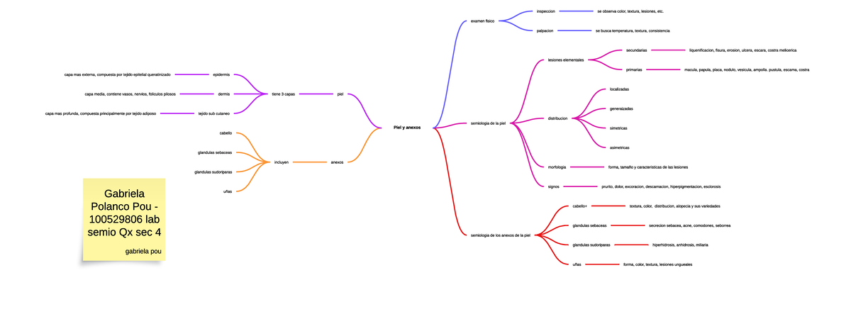 Mind map - tejido sub cutaneo morfologia se busca temperatura, textura, consistencia examen ...
