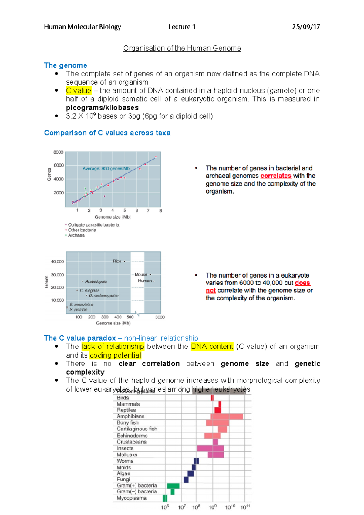 Organisation of the Human Genome - Human Molecular Biology Lecture 1 25 ...
