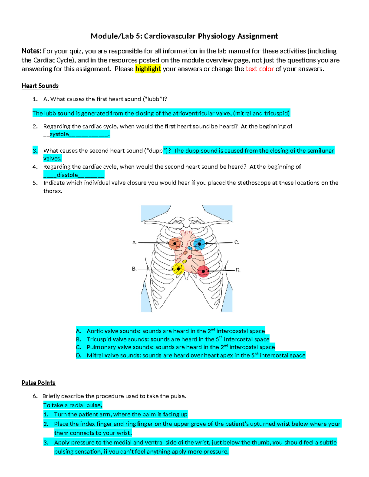 Module/Lab 5: Cardiovascular Physiology Assignment Notes and Analysis ...