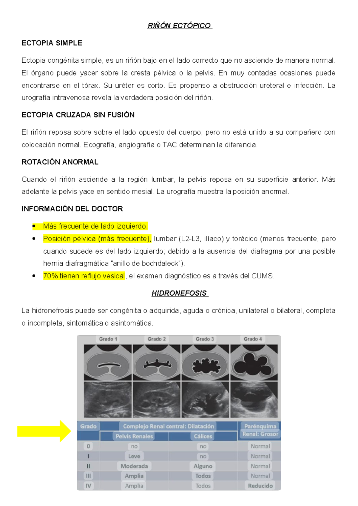 Riñón Ectópico - APUNTES SOBRE RIÑON ECTOPICO - RIÑÓN ECTÓPICO ECTOPIA ...