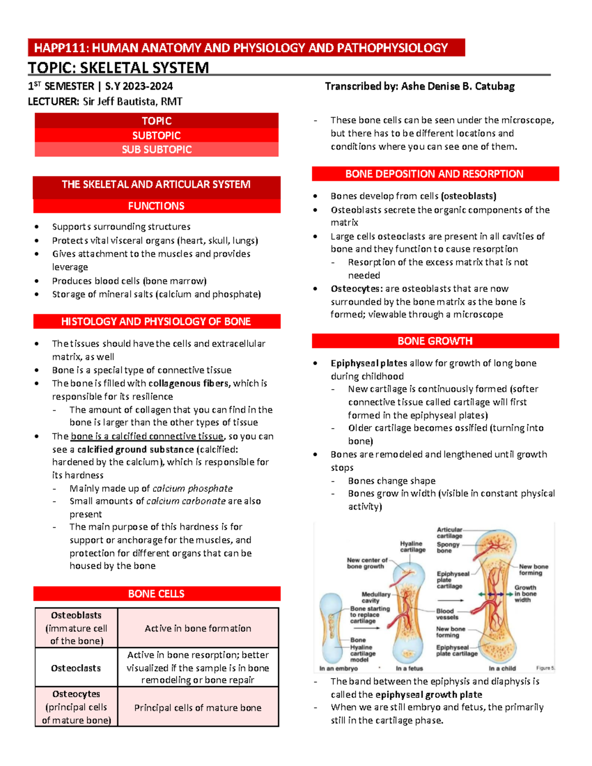 Anaphy Lesson 1 ( Midterms) - TOPIC: SKELETAL SYSTEM 1 ST SEMESTER | S ...
